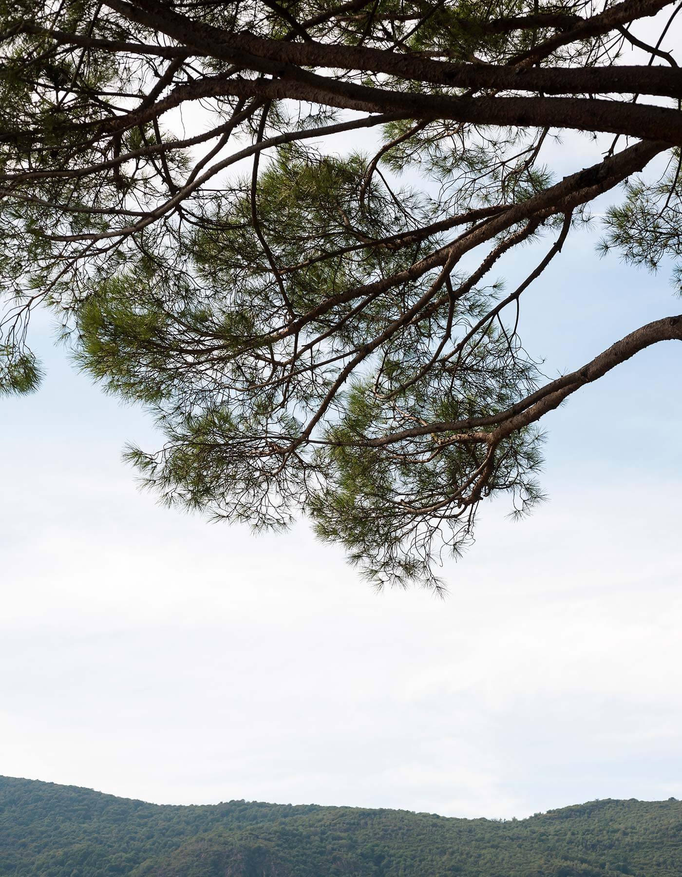 RODA renews GREENGUARD GOLD Certification - Roda