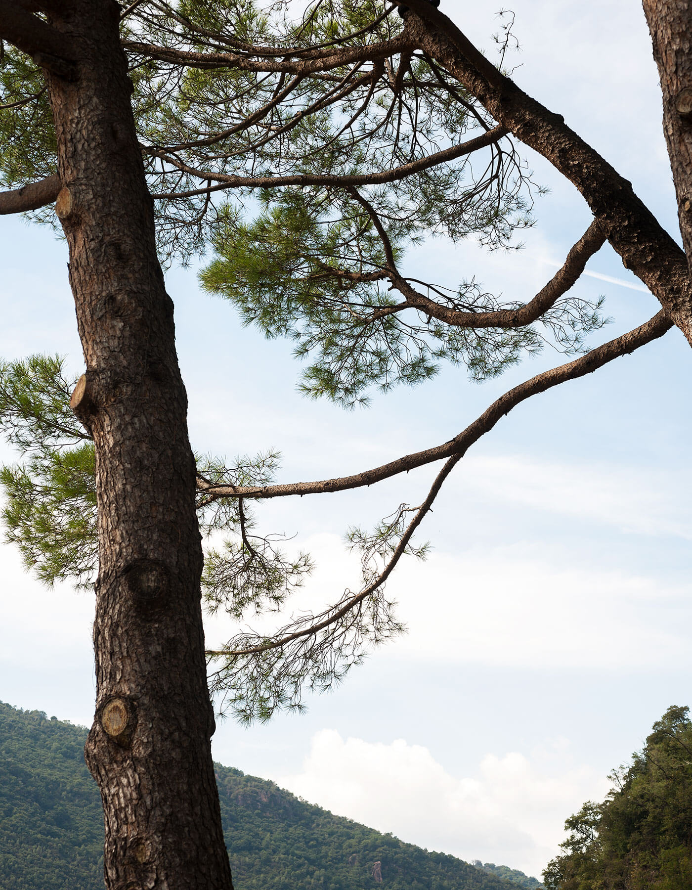 RODA renews GREENGUARD GOLD Certification - Roda