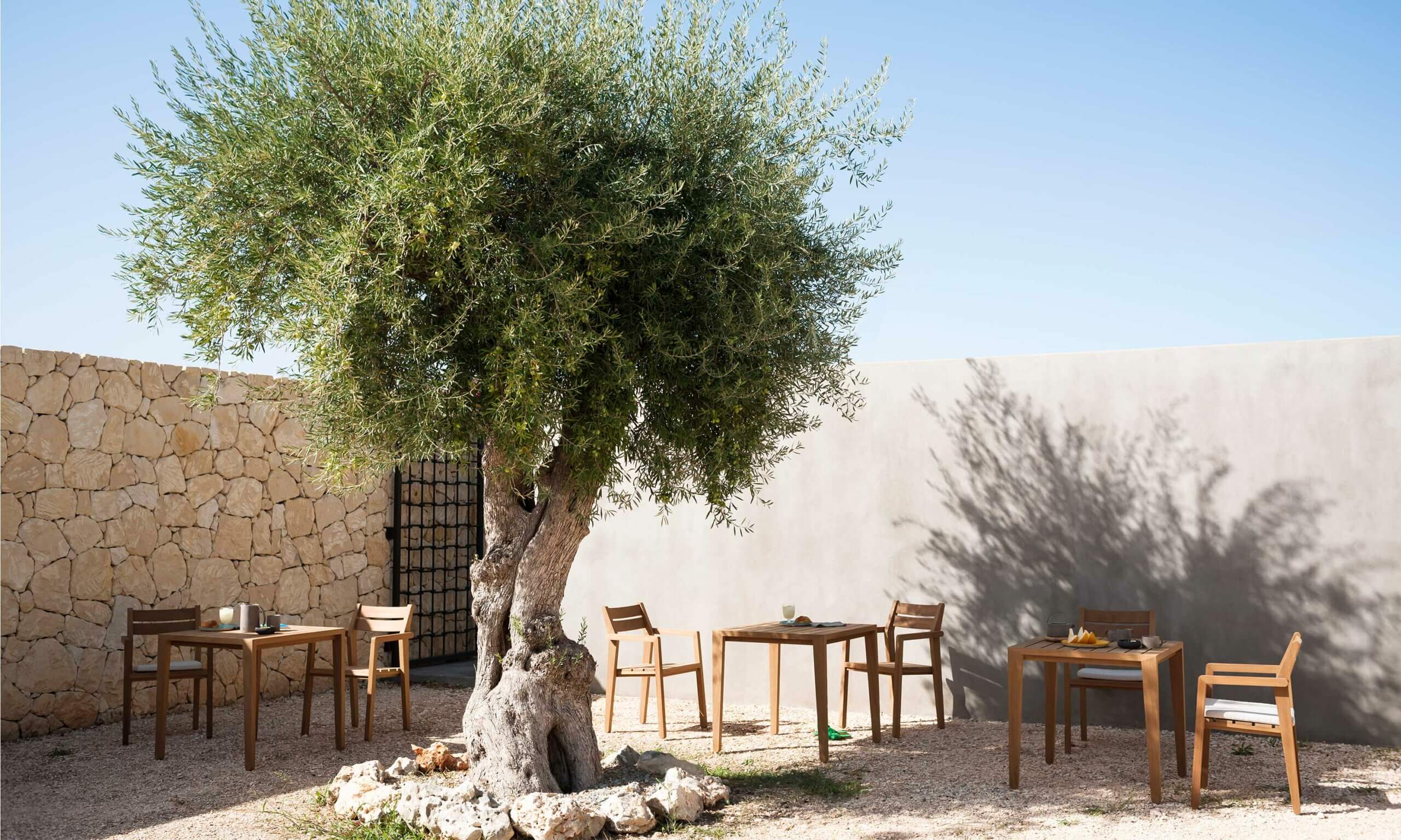 ZANIA: Seating and Outdoor Tables in Iroko Wood | RODA